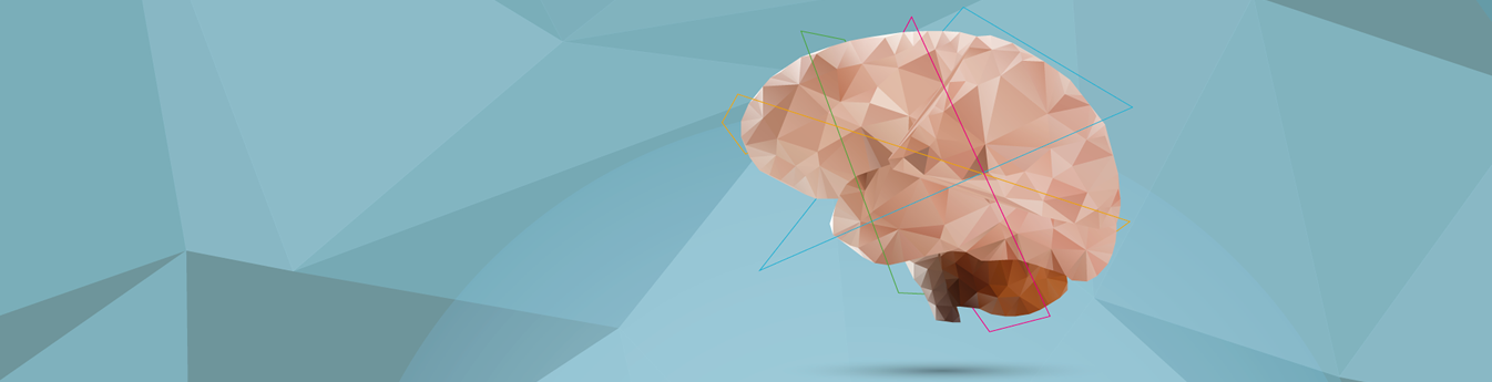 Homepage - SENR::Bienvenid@ al portal de la SENR (Sociedad Española de ...